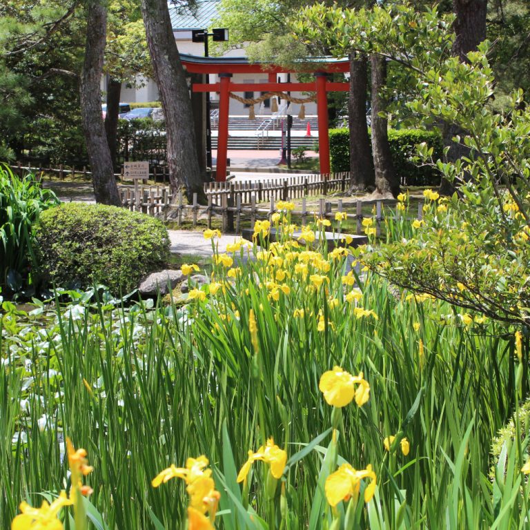 Sacred Wells and Magic Stones at Kanazawa Shrine | Kaname Japan