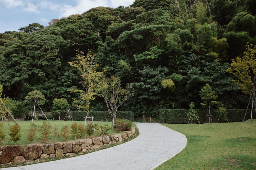 Go Forest Bathing & See Sacred Trees in Kanazawa | Kaname Japan